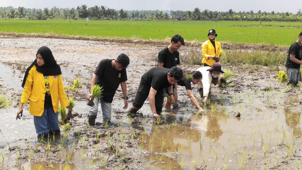 Selamat Hari Tani Nasional 2021 | UNIVERSITAS PANCA BHAKTI